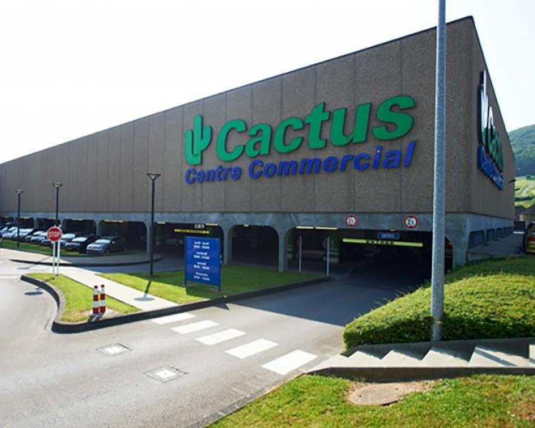 Cactus Ingeldorf - Centre commercial Ingeldorf | Editus
