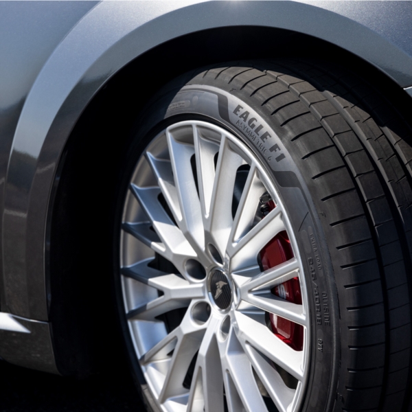 Goodyear - Pneumatique Colmar-Berg